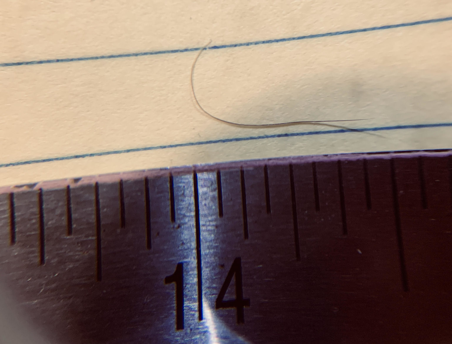 Hair Apparent: The Trauma Never Ends – [sic]